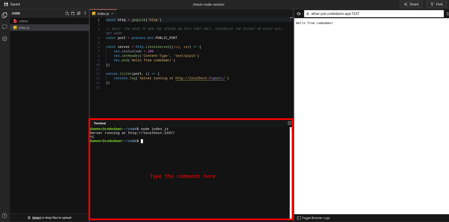 How to check version in Node.js? Check Node version from command line