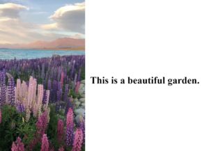 How to put image and text side-by-side in HTML?