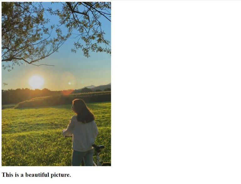 How to put image and text side-by-side in HTML?