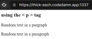 Using HTML container tags explained with examples