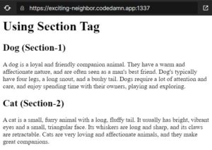 Using HTML container tags explained with examples
