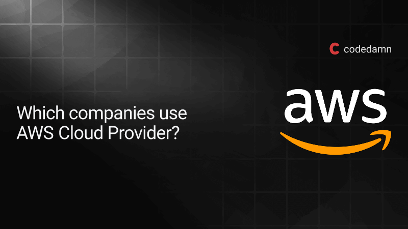 Which companies use AWS Cloud Provider?